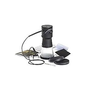 Woodland Scenics FS639 Static King, Black