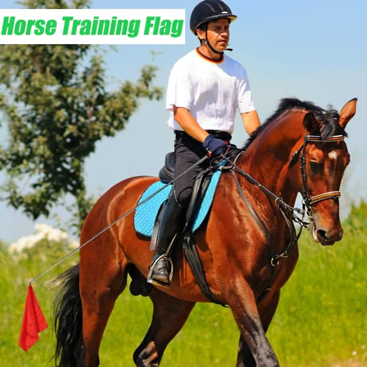 SETHVILL 4 Pcs Horse Training Flag Horse Training Equipment with 48" Telescopic Handheld Flagpoles, Portable Equestrian Nylon Training Flag for Horse Lunging Training