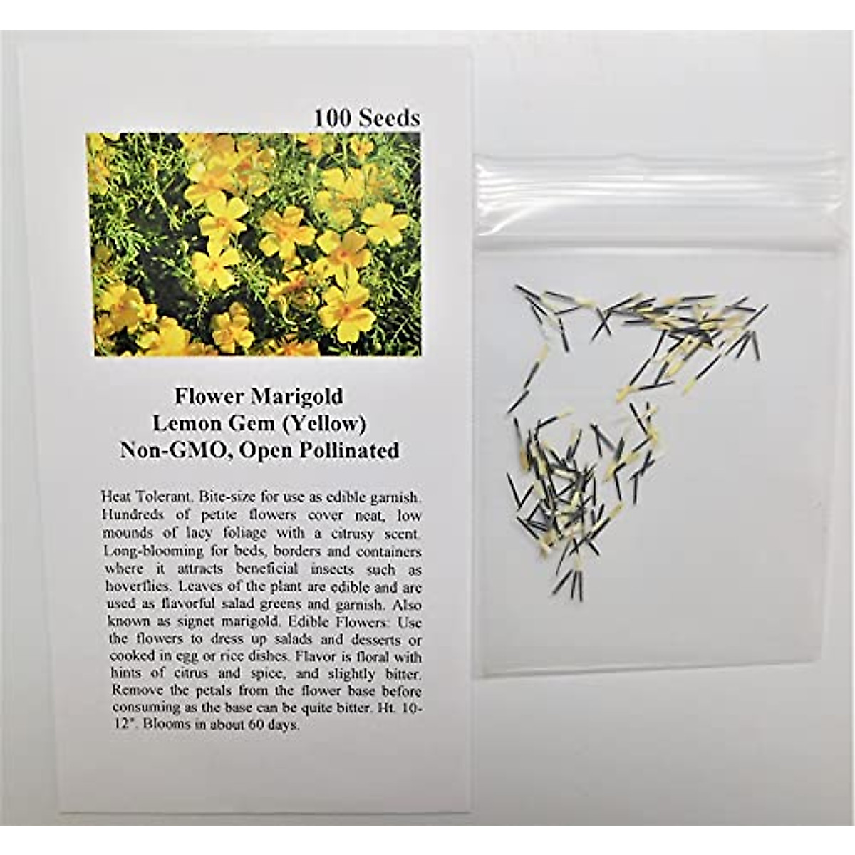 David's Garden Seeds Flower Marigold Lemon Gem 1112 (Yellow) 100 Non-GMO, Heirloom Seeds