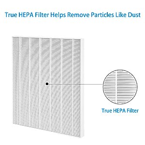 2 Pack True HEPA D4 Replacement Filters Compatible with Winix D480 Air Purifier, Item Number 1712-0100-00, Filter D4