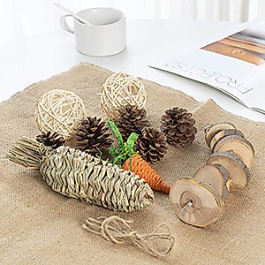 Fansisco Handmade Pet Chew Toys with Hay Grass Carrot Toys Apples Wood Molar String Carrot Toys Chew Toys for Rabbit Bunny Hamsters Chinchilla Guinea Pigs or Other Rodent Pets (30209), 30*20*9