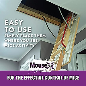 MouseX Throw Packs- For All Species of Rats and Mice. Safe Around Pets