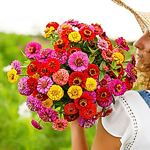 Zinnia Seeds - Lilliput Mix - 5 Pounds - Pink/Yellow/Orange Flower Seeds, Heirloom Seed Attracts Bees, Attracts Butterflies, Attracts Hummingbirds, Attracts Pollinators, Easy to Grow & Maintain