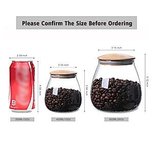 MOLADRI 800 ML/26 FL OZ Clear Cute Glass Storage Canister Holder with Airtight Bamboo Lid, Round Modern Decorative Container Jar for Coffee, Spice, Candy, Salt, Cookie, Condiment, Pepper, Sugar
