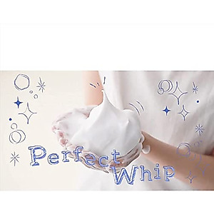 Senka Perfect Whip 4.2 oz (120 g)