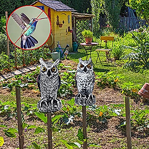 Glintoper 2 Pack Plastic Fake Owl Bird Scarecrow Horned Decoy, Bird Deterrents Scary Birds Away, Nature Enemy Pest Repellent for Outdoor Garden Yard Protectors