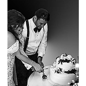 Elegant Rustic Cake Server and Knife Set with Beautiful Leaf Design, Ideal Cake Cutting Set For Wedding Party's and Elegant Events, 2 Piece Silver Twig Pie Server Set…