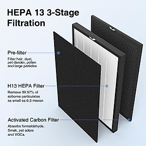 RF200 Replacement Filter Compatible with OV200 Air Purifier, Including 1 True HEPA Filter, 1 Carbon Filter, and 4 Extra Pre-Filters