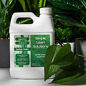 Simple Lawn Solutions - Liquid Iron Fertilizer Darker Green - Chelated Micronutrients - Concentrated Green Booster for Turf Grass, Indoor Plants and Outdoor Garden (32 Ounce)