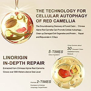 Forest Cabin Camellia Repair Essence Oil for Face, Anti Aging Serum, Promote Cell Autophagy Serum for Fine Lines and Wrinkles, 30ml