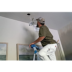 Dickies mens Painter's Utility Pant Relaxed Fit Big Jeans, White, 46W x 30L US