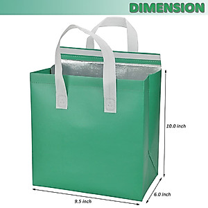 AIVYGDEN 60pcs Insulated Take Away Bags,Thermal Insulation Food Bag for Coffee,Milky Tea,Take-away Dinner,Fresh Seafood,Cold or Warm Food drive for Restaurant,Retail Store or Picnic/BBQ (green)