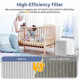 H7123101/H211/H211S Replacement Fil-ter for Govee Life Smart Air Puri-fier, H13 True HEPA Fil-ter & 4-Stage High-Efficiency Fil-tration, 2 Pack HEPA Fil-ter and 4 Pack Washable Pre-Fil-ter
