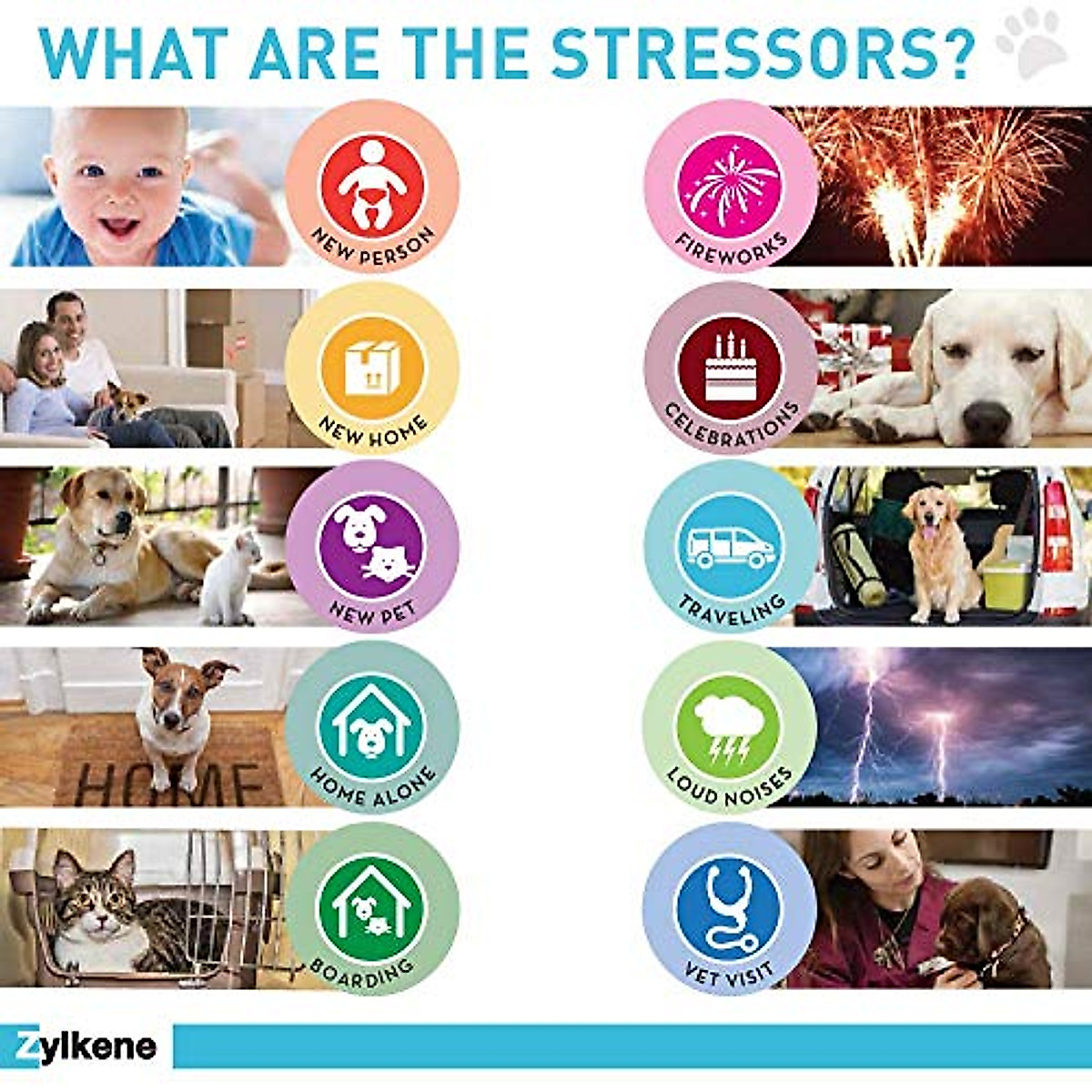 Vetoquinol Zylkene Behavior Support Capsules for Small Dogs and Cats, Calming All Natural Milk Protein Supplement, Helps Relieve Dog Anxiety and Cat Anxiety During Fireworks and Thunder, 75mg