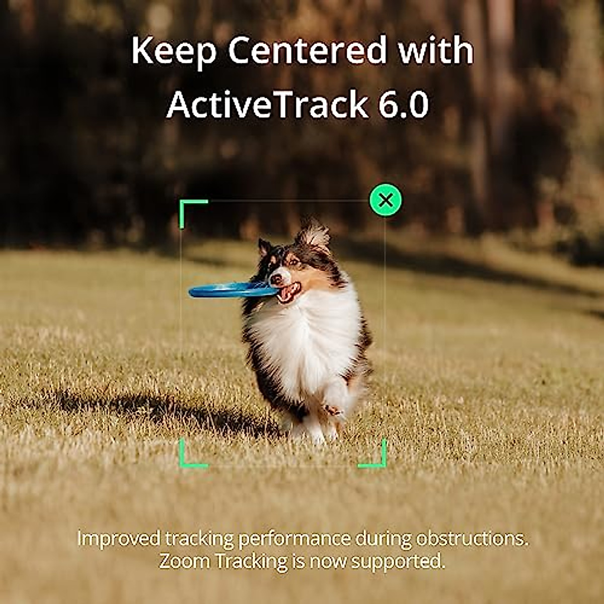 DJI Osmo Mobile SE Intelligent Gimbal, 3-Axis Phone Gimbal, Portable and Foldable, Android and iPhone Gimbal with ShotGuides, Smartphone Gimbal with ActiveTrack 6.0, Vlogging Stabilizer