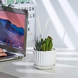 HXYPN Succulent Pot Round Stripe White Ceramic Pots 4 inch Plant Pots Small Flower Planter Pot, Pack of 4 - Plants Not Included