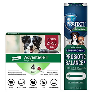 Bundle of Advantage II Large Dog| Dogs 21-55 lbs. | 4-Month Supply + Pet Protect Probiotic Balance+ Dog Supplement | Oral Gel | 32g