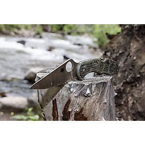 Spyderco Delica 4 Lightweight Signature Knife with 2.90" Flat-Ground Steel Blade and Zome Green FRN Handle - PlainEdge - C11ZFPGR