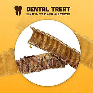 Downtown Pet Supply - Beef Trachea Dog Treats - Bully Sticks Alternative - Dog Dental Treats & Rawhide-Free Dog Chews - Glucosamine, Chondroitin, Protein, Vitamins & Minerals - 3in - 18Ct