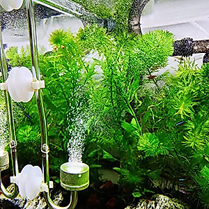 Boao 32.8 ft Aquarium CO2 Proof Tubing Clear Airline Tubing Aquarium Air Tubing 5/16 Inch with 12 Pcs Suction Cups Aquarium Air Pump Accessories for Fish Tank