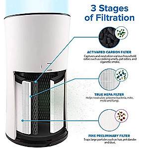 LEVOIT LV-H133 Air Purifier Replacement Filter, White & Vital100 Air Purifier Replacement, True HEPA High-Efficiency Activated Carbon Filter, Vital 100-RF, 2 Pack, White