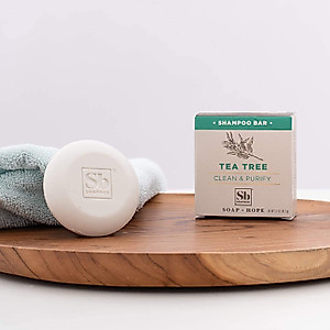 Soapbox Tea Tree Shampoo Bar for Dry Scalp | Natural, Eco Friendly, Vegan | Color Safe, free of Sulfates, Parabens, Silicones, Cruelty Free, 3.1oz (Pack of 1)