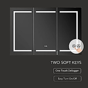 Blossom Recessed or Surface 48 Inch LED Mirror Medicine Cabinet with Lights, Defogger (Vega-48)