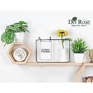 Der Rose Set of 2 Artificial Small Fake Plants for Home Living Room Bathroom Office Decor Aesthetic Indoor