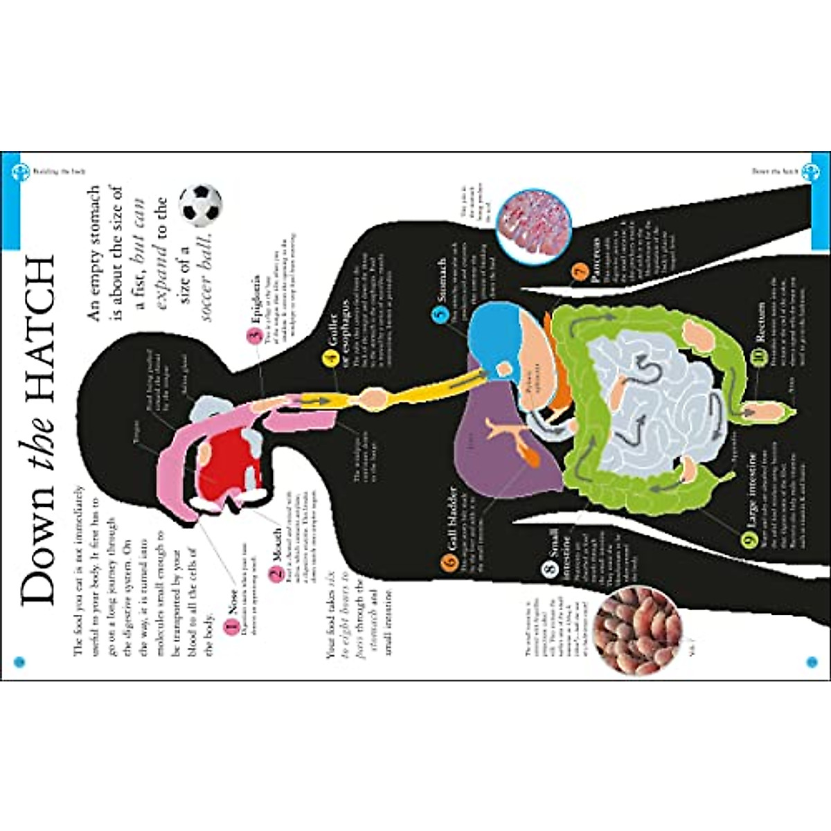 Are You What You Eat?