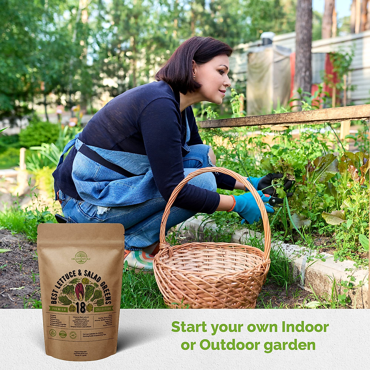 Organo Republic 18 Lettuce & Salad Greens Seeds Variety Pack 9200+ Non-GMO Heirloom Lettuce Seeds for Indoors & Outdoors Garden, Hydroponics, Aerogarden - Arugula, Kale, Spinach, Swiss Chard, Lettuce