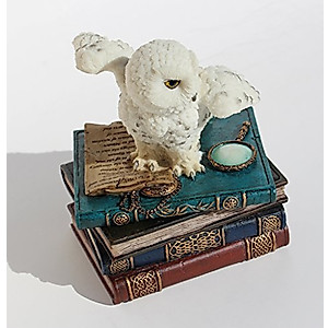 US 4.75 Inch Snow Owl Flap Wings on Books Trinket Box, White Color