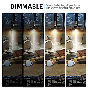 HXM T300 LED Bulb, 6W Dimmable T30 LED Tubular Bulb, Retro Edison LED Long Tube Bulb 6W, 60W Incandescent Bulb Equivalent, 4000K Dayligt White, Transparent Glass, E26,Pack of 4