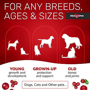 Сat Vitamins for Indoor Cats in Drops – Liquid Multivitamin for Dogs – Dog Multivitamin Liquid Supplement – Cat Multivitamin – Multivitamin for Dogs – Vitamin C for Cats – 2 oz