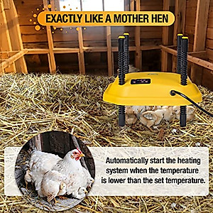 Shaledig Chick Brooder Heating Plate, 10"x10" Chicken Brooder Heater with Temperature Display, Adjustable Height for Baby Chick Duckling, 13W Brooder Plate for Up to 15 Chicks, Safe & Like Mother Hen