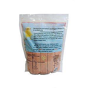 LITTLE FARMER PRODUCTS Chicken Fun-DOO Non-GMO, Soy-Free Chicken Treat | Premium Poultry Meal Worm, Vegetable & Herb Mix (3 lbs)