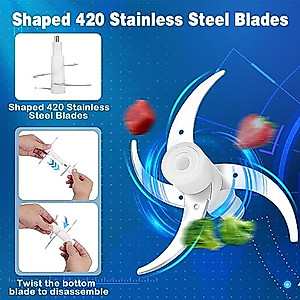 Electric Food Processor, 2L Meat Grinder with 2 Speed Food Chopper & Vegetable Chopper, 8 Cup with Powerful 350W Food Chopper for Vegetables, Fruits, Meat, Nuts, Beans, etc（4 Sharp Blades）