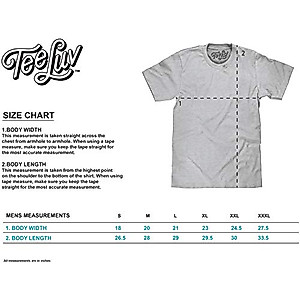 Tee Luv Men's Pontiac Firebird Graphic T-Shirt (Charcoal Heather) (XL)