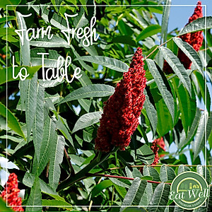 Eat Well Sumac Spice Powder 4 oz Shaker Bottle, Ground Sumac Berries, 100% Natural Traditional Middle Eastern Spices, Sumac Seasoning with Pure Gourmet Ingredients for Cooking, Tangy and Citrusy