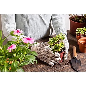 5Pcs Succulent Tools, Mini Garden Tools,Plant Potting Mat as Plant Accessories,Succulent Gardending Hand Tools Kit for Seedling Soil,Caring Succulent,etc,Gifts for Woman’s Gardening work(No Flowerpot)