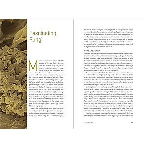 Teaming with Fungi: The Organic Grower's Guide to Mycorrhizae (Science for Gardeners)