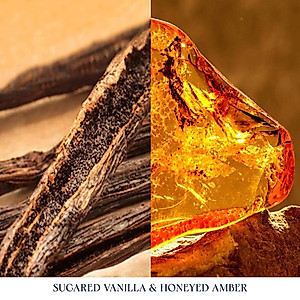 Cerulean 6° Holiday Splendor Luxury Candle - Honeyed Amber and Sugared Vanilla 3 Wick Luxury Candle That enriches Your Senses and elevates Your Space.