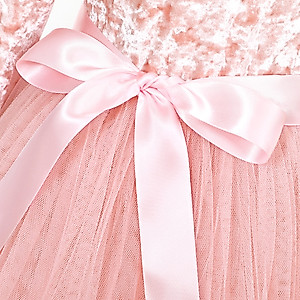 Flofallzique Girls Tutu Dress Long Sleeves Toddler Velvet Tulle Dresses for Birthday Party (2, Dusty Pink)