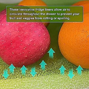 12-Pack Vegetable and Fruit Life Extender Fridge Shelf Sponge Liner, 12" x 15" Cuttable, Washable, & Reusable Refrigerator Mat, Ventilation to Keep Produce Fresh Longer Prevents Spoilage