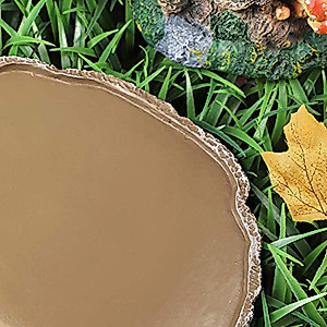 POPETPOP Reptisoil Reptiles Reptile Feeding Bowl Resin Thicken Water Dish Bowl Breeding Tray Feeding Plate for Lizard Snake Gecko Turtle Iguana Tortoise Reptisoil Auto Feeder