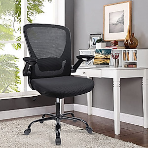 Ergousit Ergonomic Home Office Chair, Mesh Office Chair Flip Up Arms with Lumbar Support, Adjustable Comfortable Computer Desk Chair Ergonomic, 250Lbs Capacity (Black)