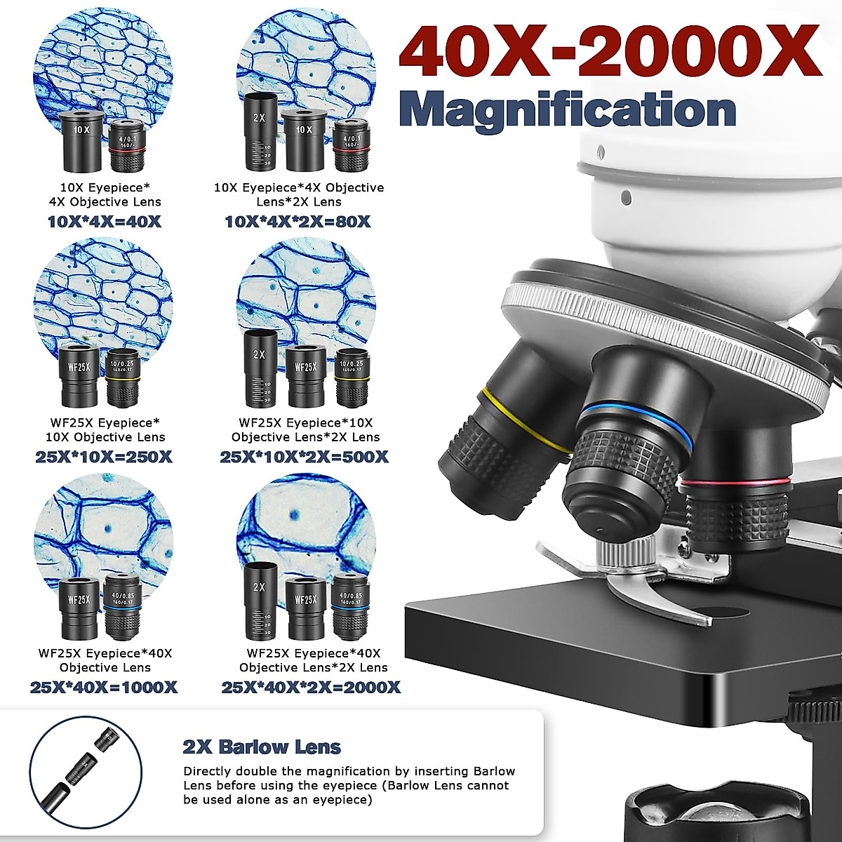 Temery Microscope for Adults Kids Students, 40X-2000X Microscope for Beginners, Biological Microscope Kit with Phone Holder, 10pcs Specimen Slides, 20 Pcs Slides & 100pcs Coverslips, Storage Bag