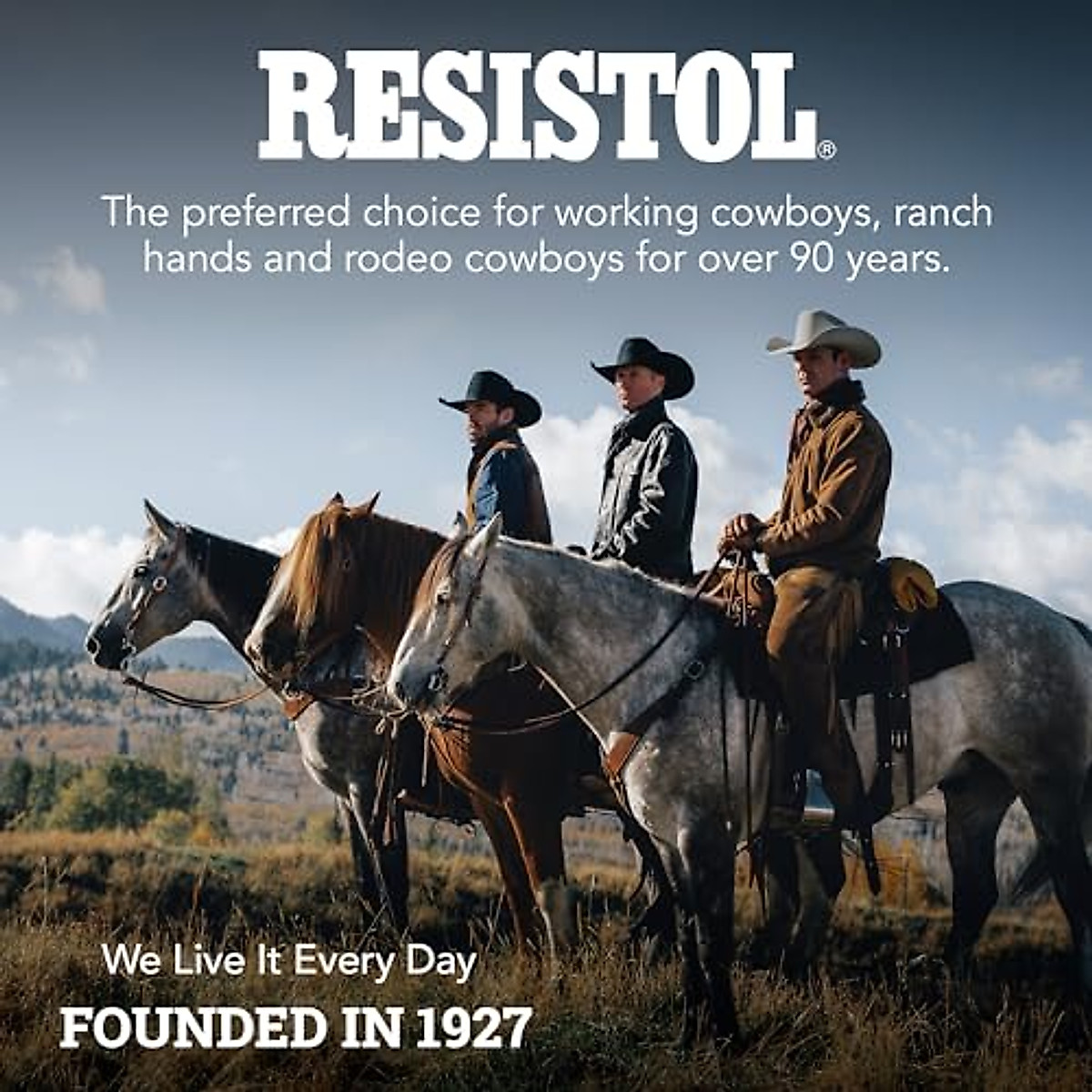 RESISTOL Jason Aldean Georgia Boy - Mexican Palm Straw Cowboy Hat (Natural, Large)