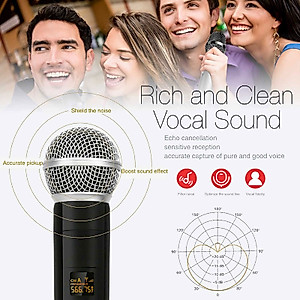 The Platinum UHF Wireless Microphone System, 200FT UHF Range Metal Professional Dual Channel Handheld Dynamic Mic System with Professional Karaoke Receiver, for Party, KTV, Meeting, Wedding (TP-U20)