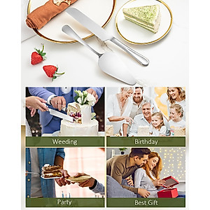 FTAKRY 2-Piece Premium Cake Cutting Set, Exquisite Knife and Server with Serrated Design, Includes Cake Knife and Pie Spatula for Pastry, Pizza and Desserts (Silver)