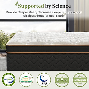 FP Flexpedic Queen Mattress, 14 Inch Plush Hybrid Mattress with Gel Memory Foam, Fiberglass-Free Mattress in a Box, Individual Pocket Spring-Motion Isolation-Edge Support, 100 Nights Trial,CertiPUR-US